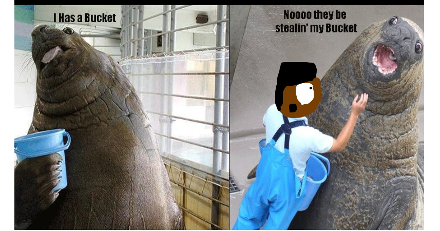 I HAZ A BUCKET